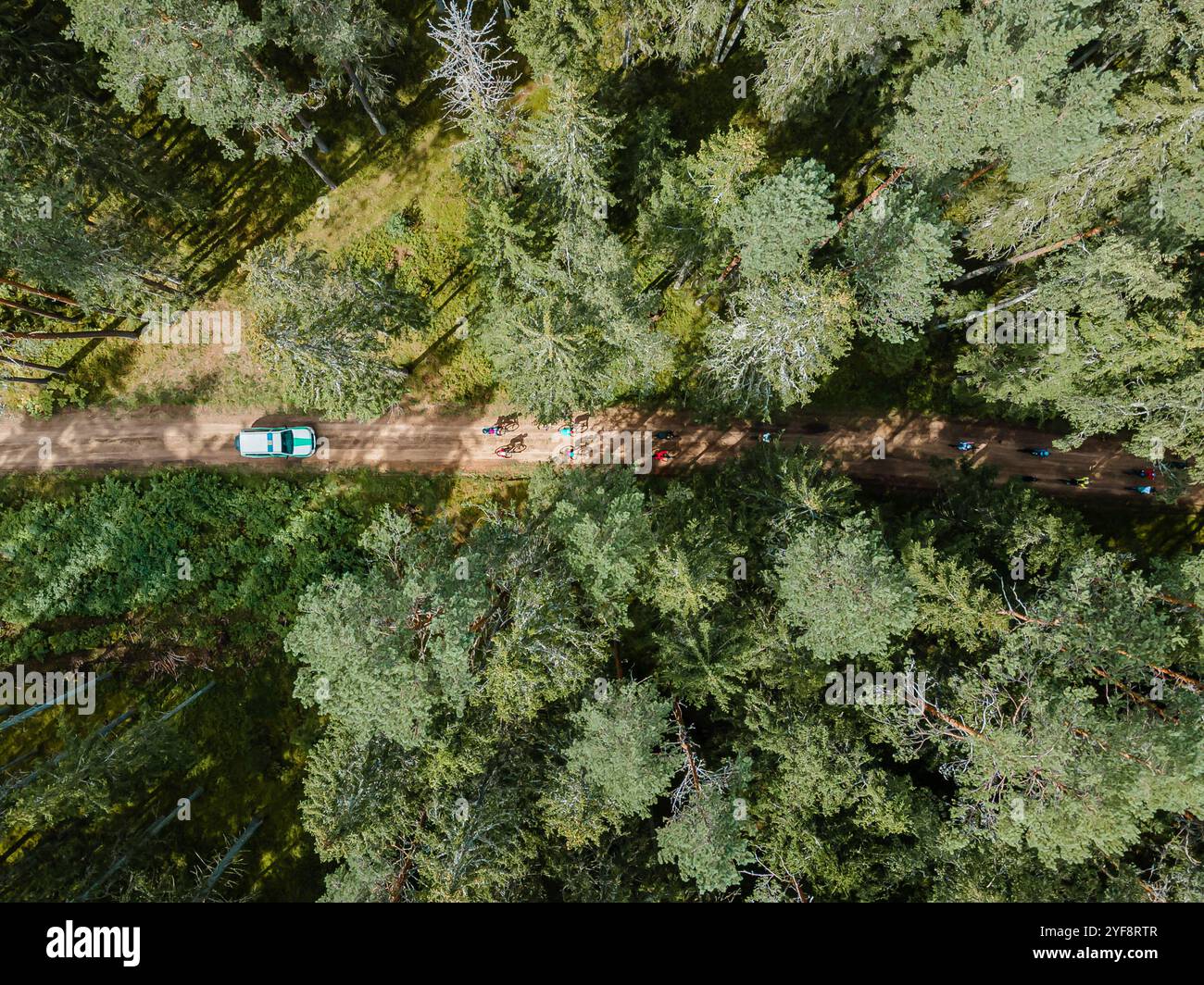 Aerial view of a group of cyclists in the forest Stock Photo - Alamy
