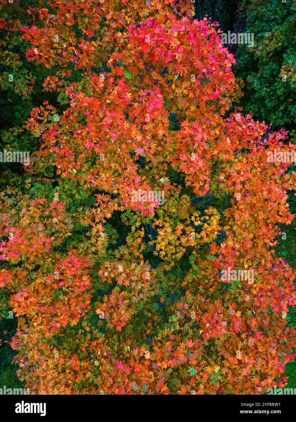 Aerial fall foliage view of rural village Stock Photo - Alamy