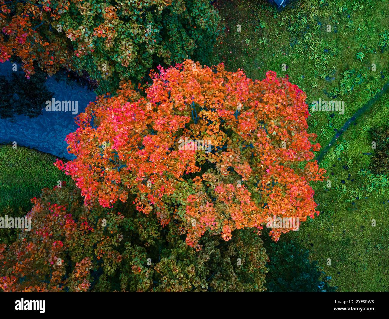 Aerial fall foliage view of rural village Stock Photo - Alamy