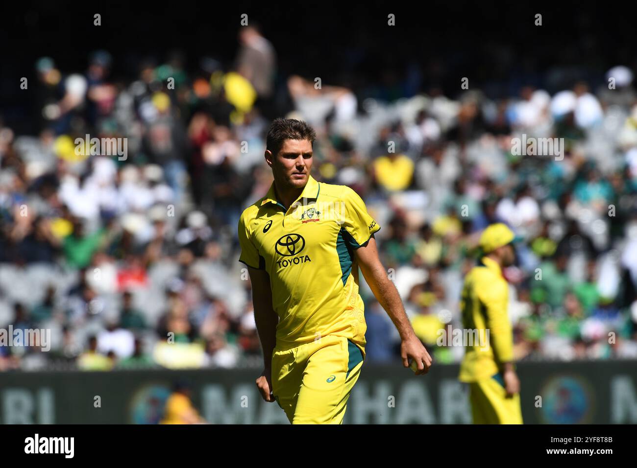 Cricket player aaron hardie hi-res stock photography and images - Alamy