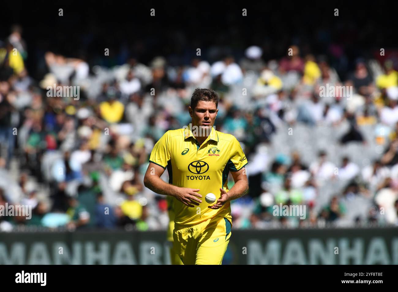 Cricket player aaron hardie hi-res stock photography and images - Alamy