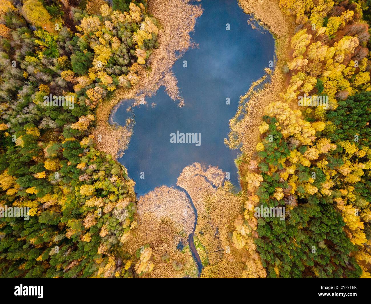 aerial view of forest and lakes, autumn leaves, foliage, greenery and ...