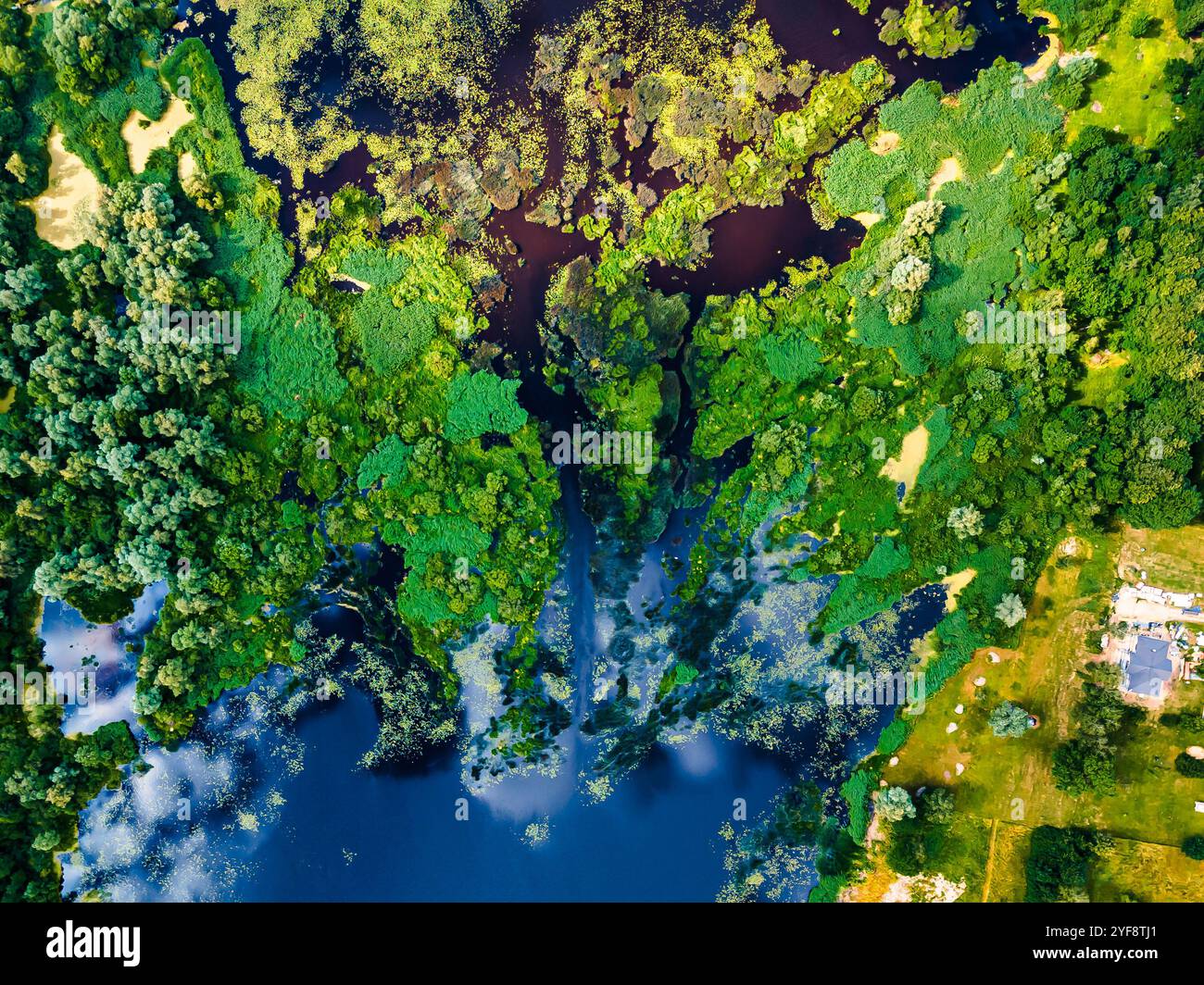 Top view of river backwater with beautiful textured vegetation ...
