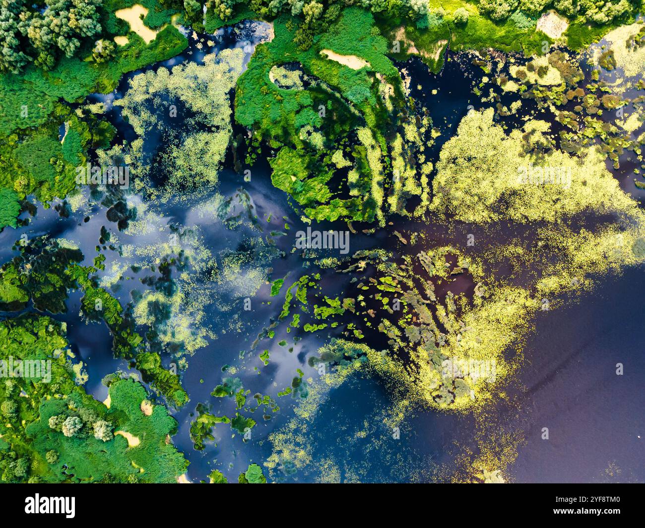 Top view of river backwater with beautiful textured vegetation ...