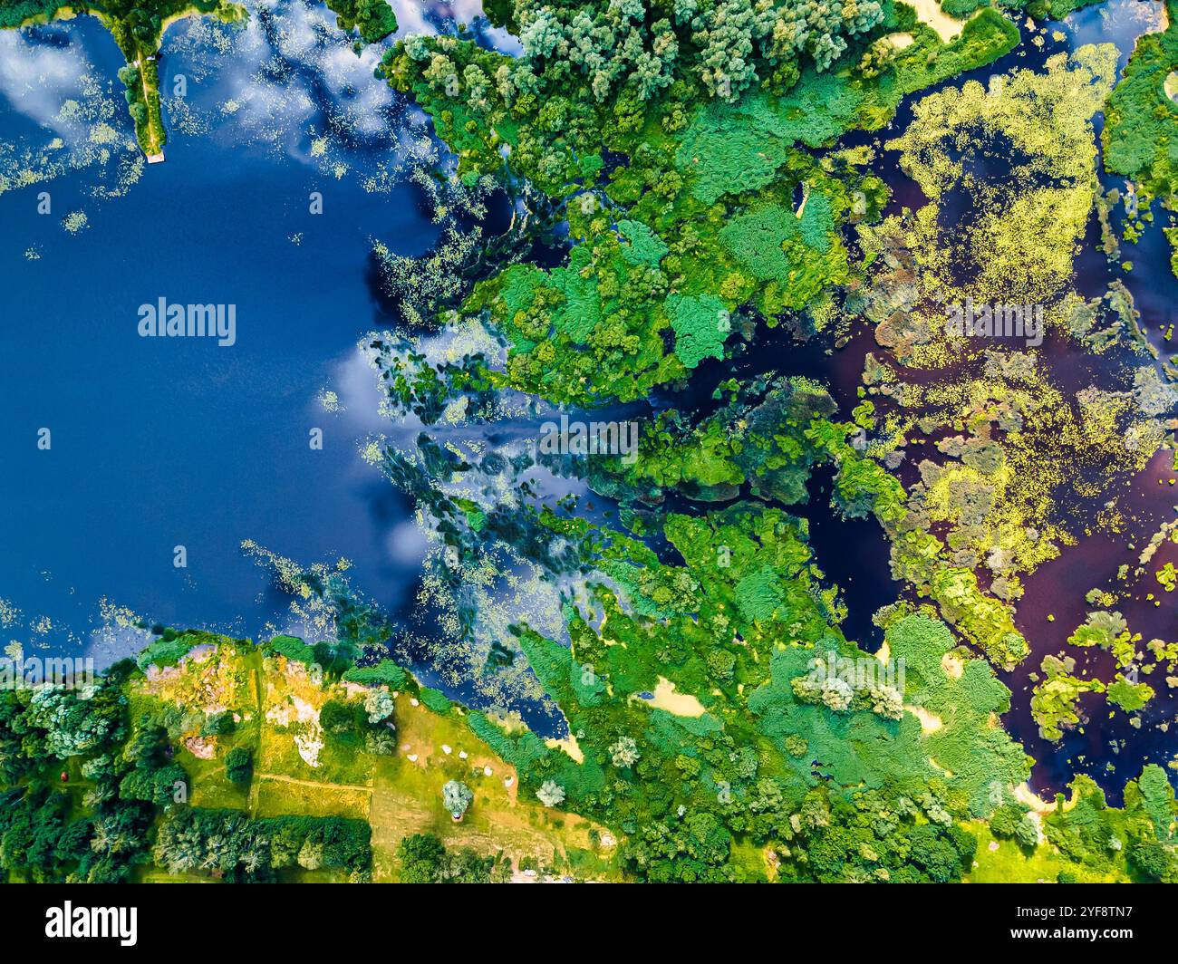 Top view of river backwater with beautiful textured vegetation ...