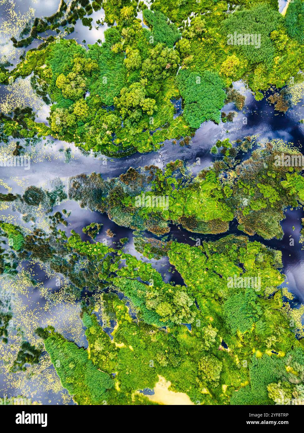 Aerial drone view windy river , cross streams , and vein like water ...