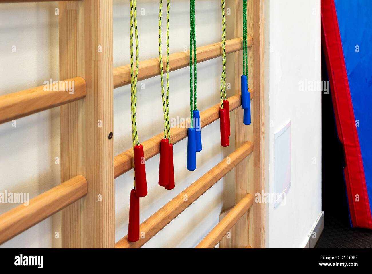 Indoor Wooden Climbing Structure with Colorful Ropes: Kid's Play or ...