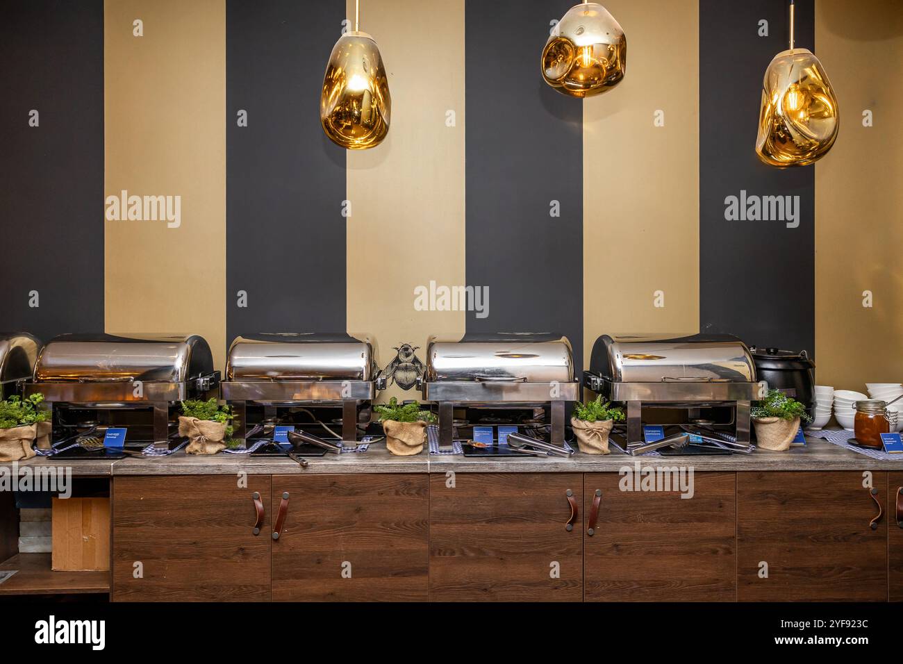 Elegant Buffet Spread with Modern Chafing Dishes and Bumblebee ...