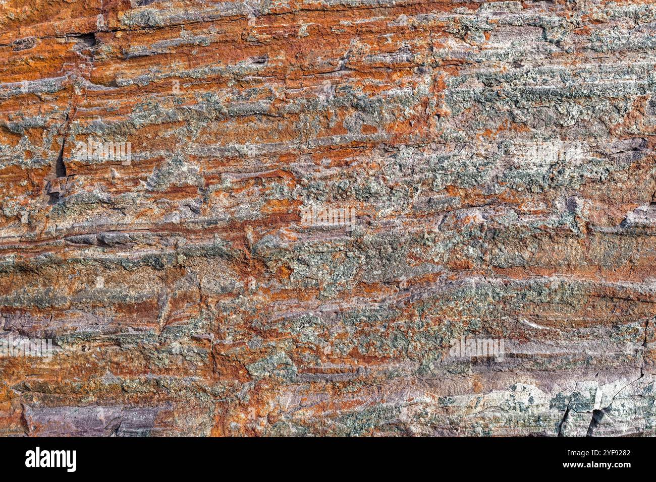 Detailed linear patterns hi-res stock photography and images - Alamy