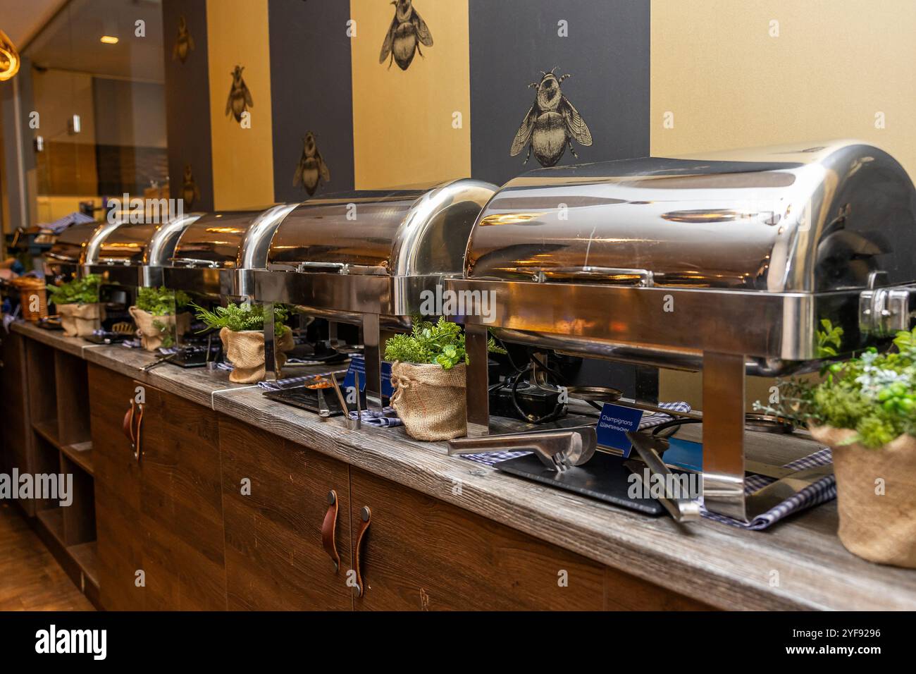 Deluxe Buffet Line with Variety of Hot Dishes and Elegant Decor in ...