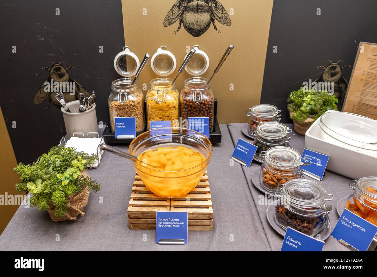 Luxurious Breakfast Buffet Setup with Assorted Cereals and Fresh Canned ...