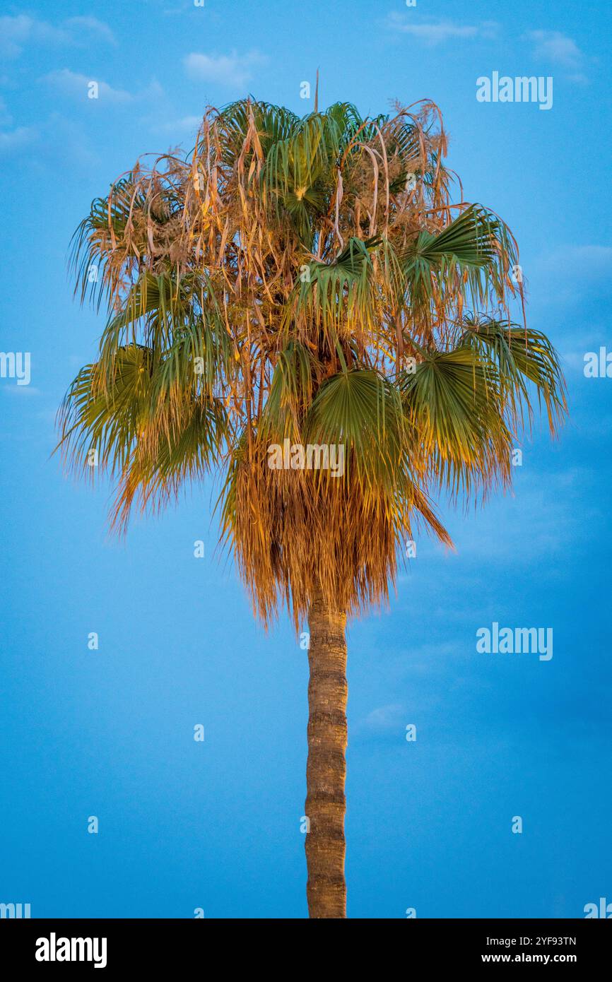 The Parque del Garraf park featuring a cave-filled area of limestone ...