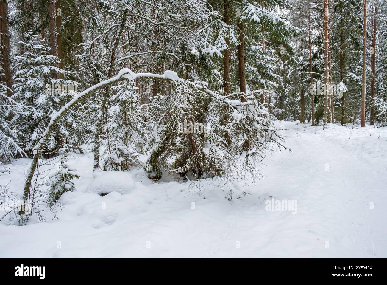 Bending tracks hi-res stock photography and images - Alamy