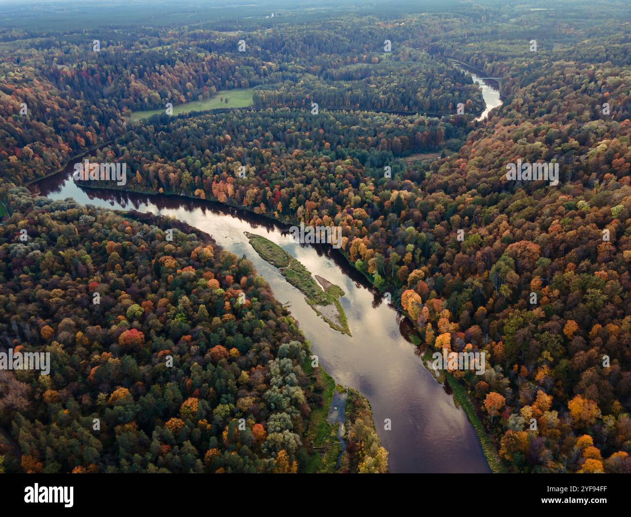 aerial view of a winding river flowing through a vibrant autumn forest ...
