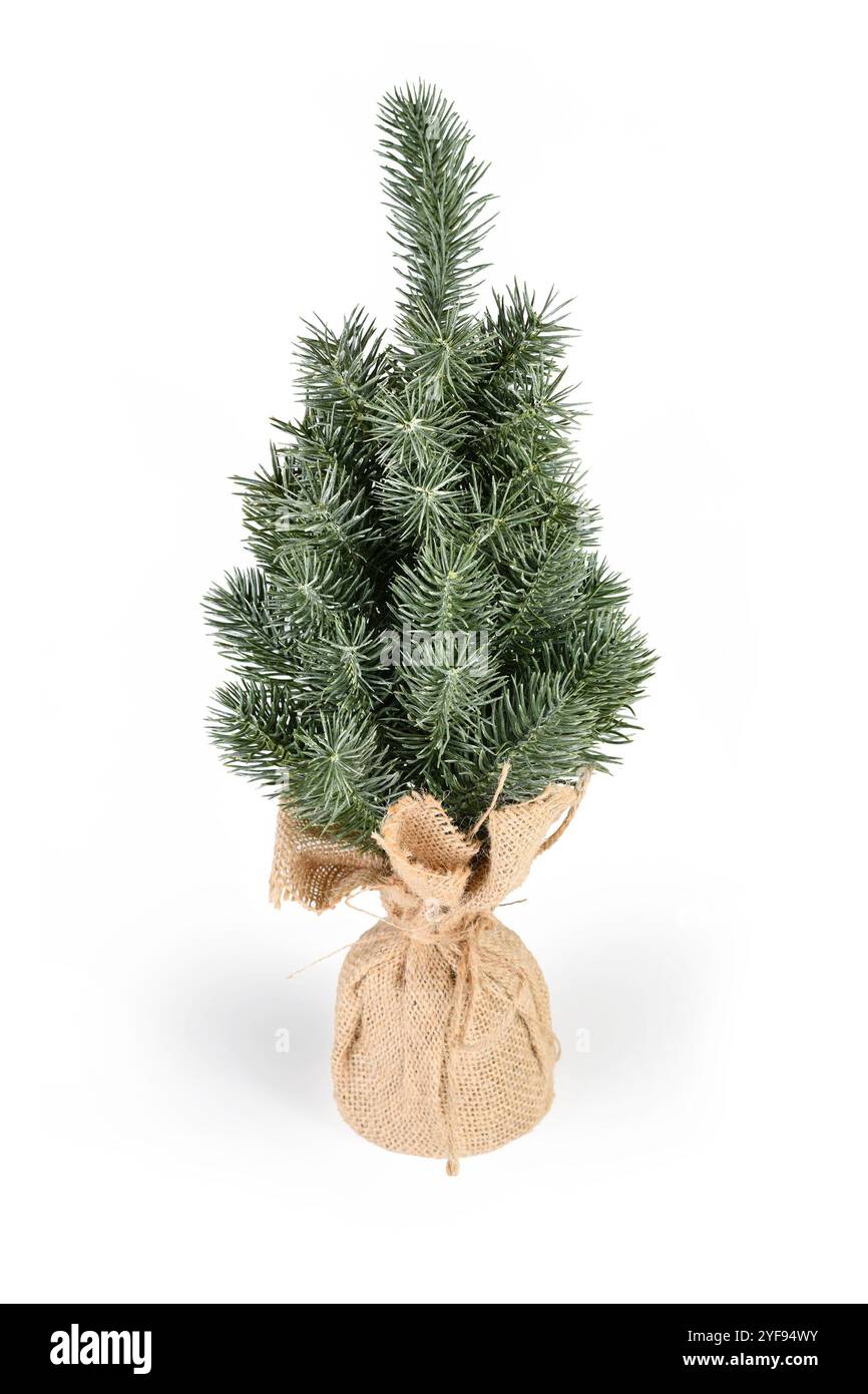 Small fake decorative Christmas tree in jute bag on white background ...