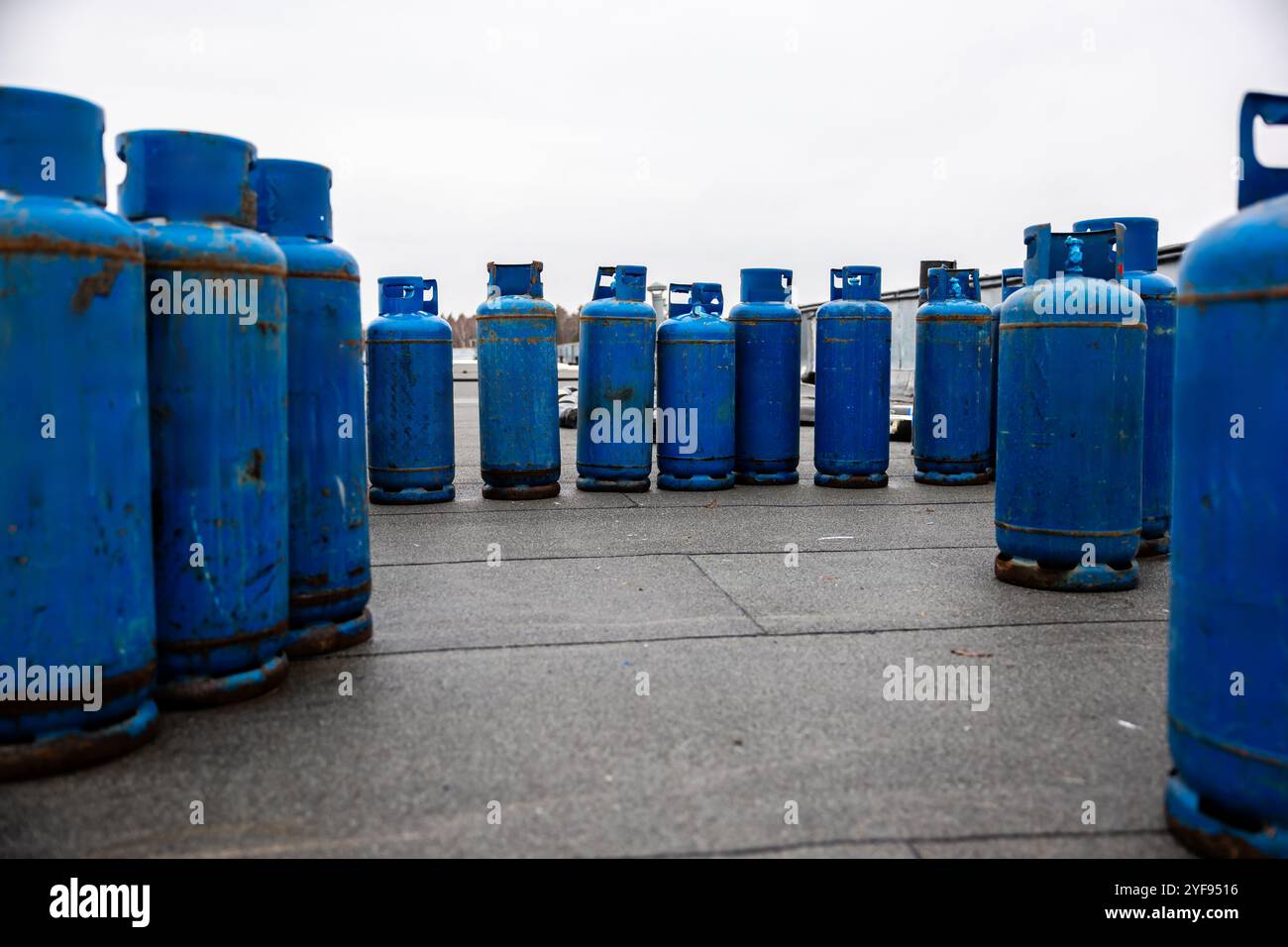 array of used blue propane gas cylinders lined up on concrete floor ...