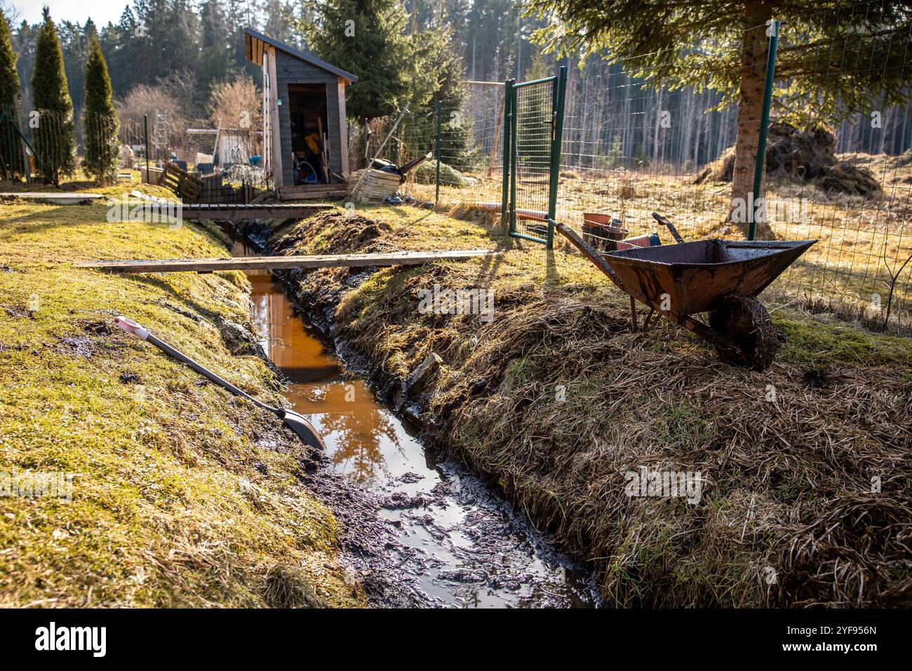 Early morning garden scene with a muddy wheelbarrow beside a newly ...