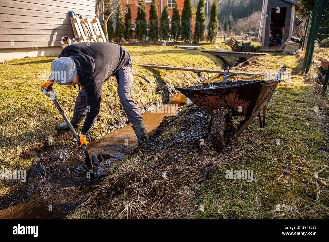 Man in protective gear tirelessly working to dredge a muddy trench with ...