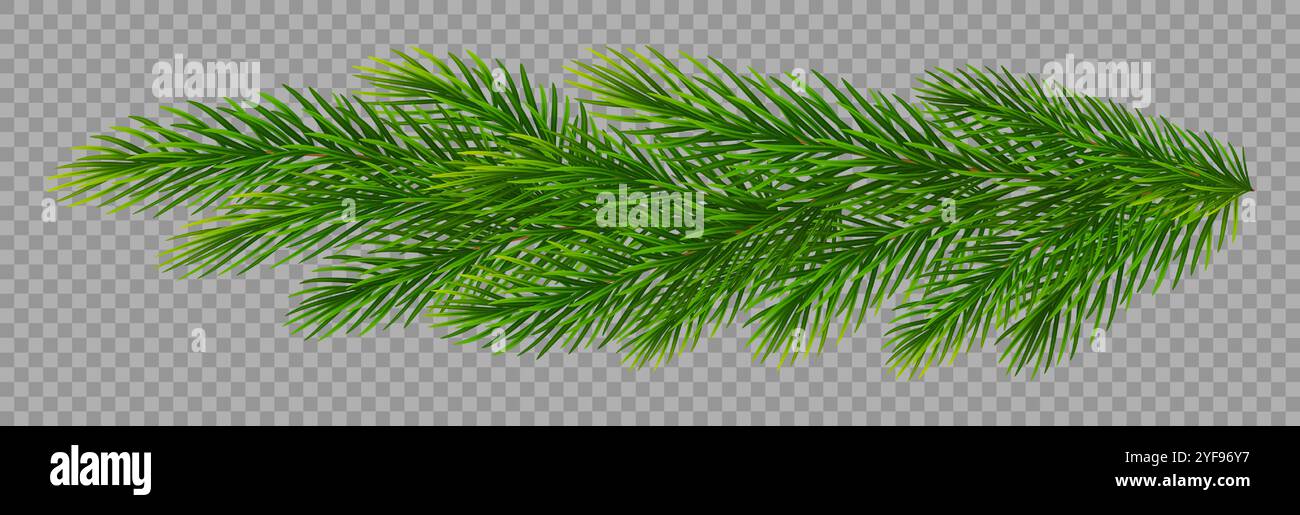 Christmas border of realistic fir tree branches on transparent ...