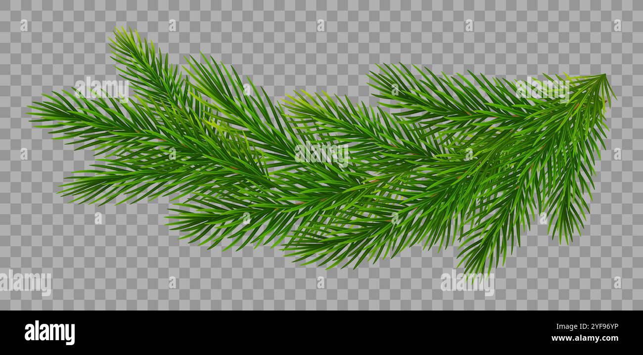 Christmas border of realistic fir tree branches on transparent ...