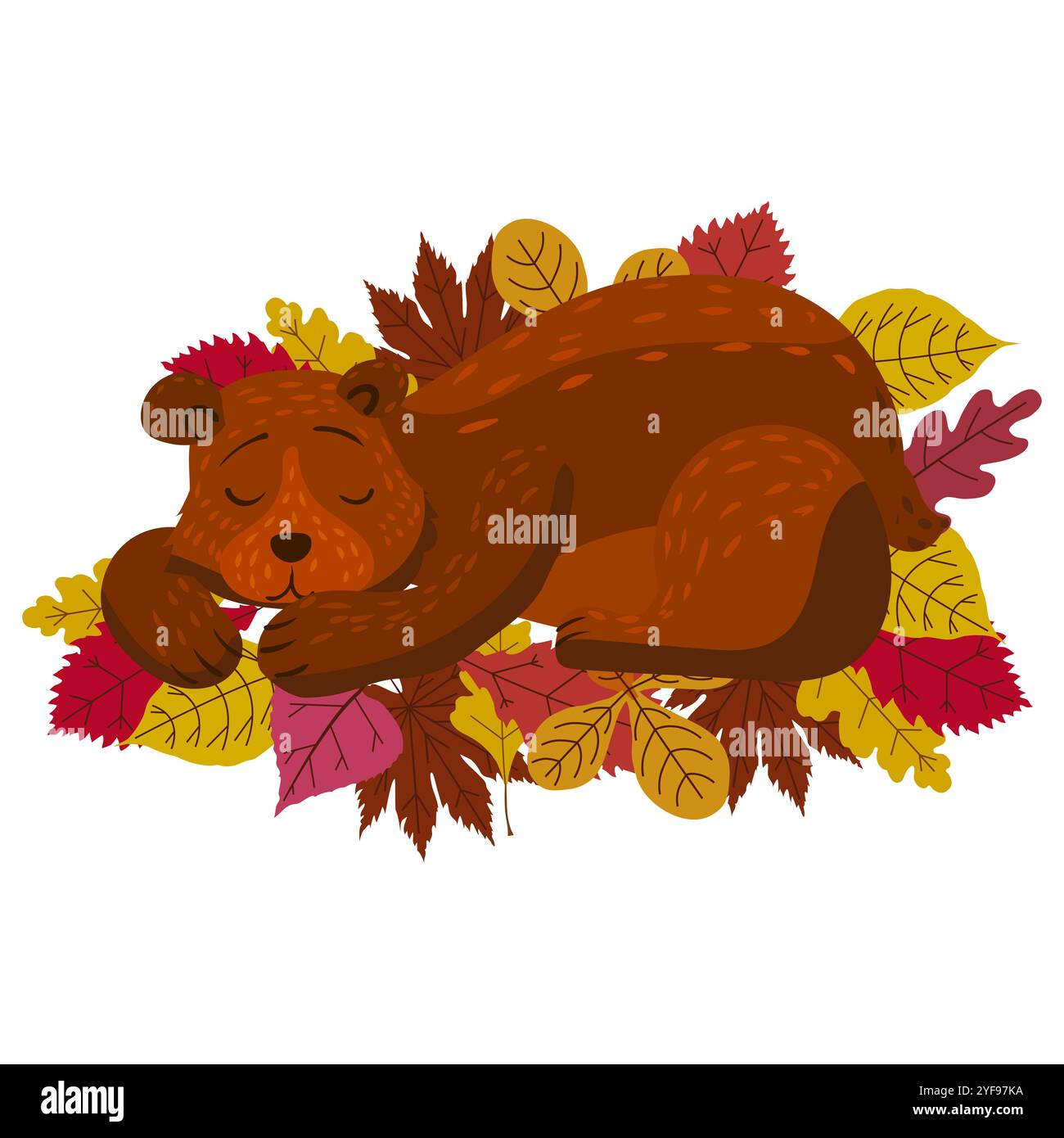 Bear shelter Cut Out Stock Images & Pictures - Alamy