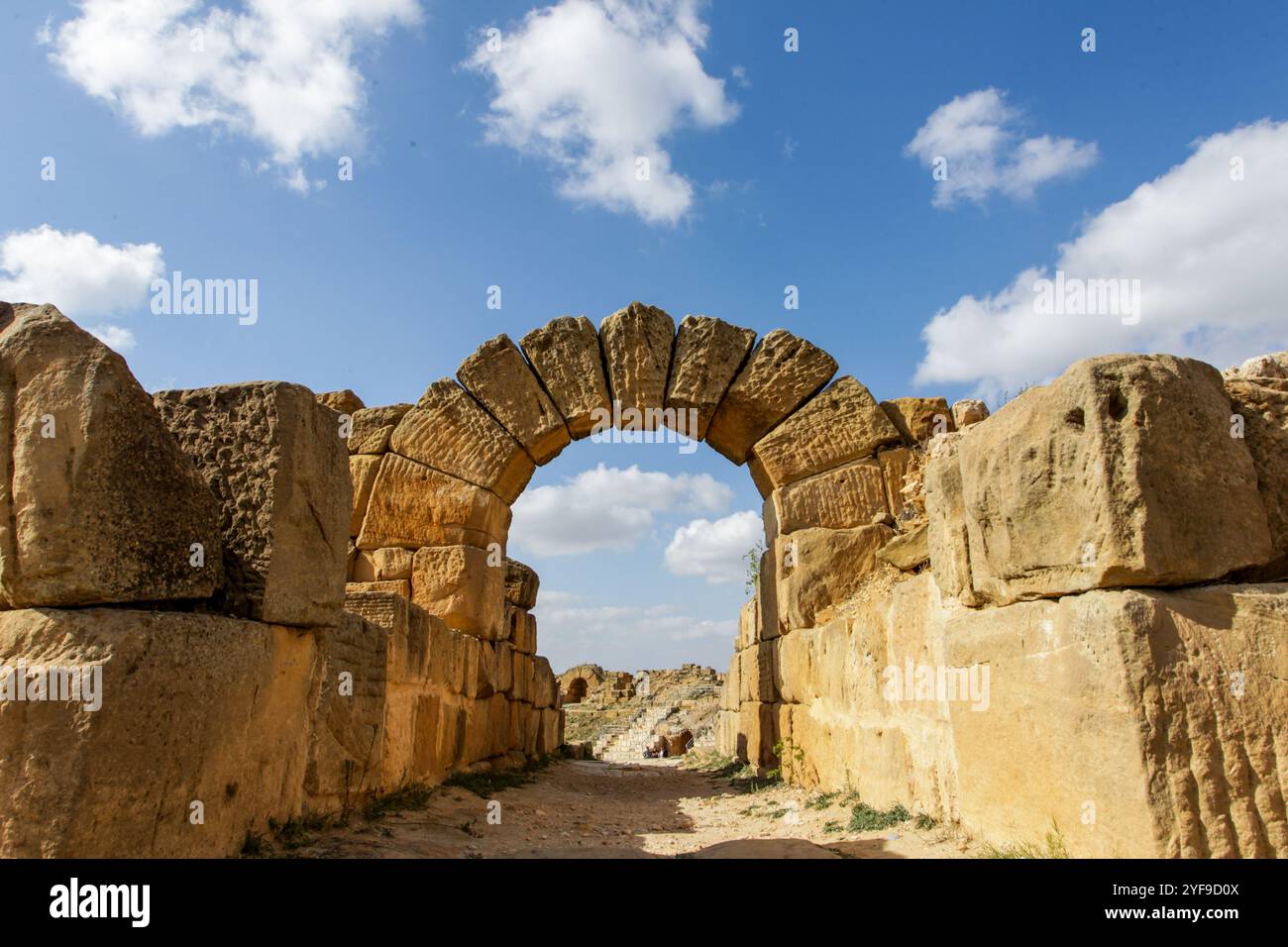 Oudhna, Ben Arous Governorate, Tunisia. 2nd Nov, 2024. Oudhna, Tunisia ...