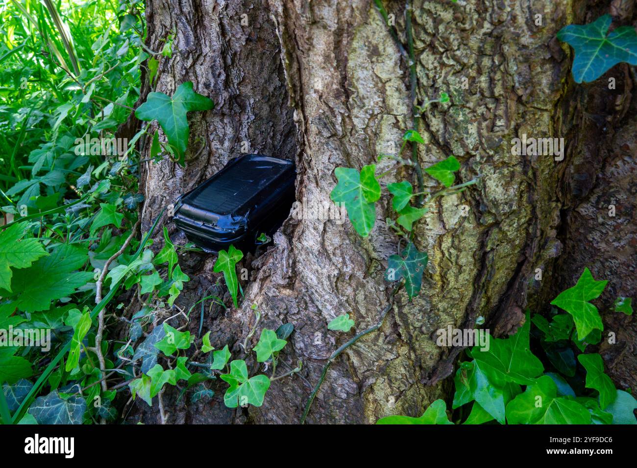 Crevice container hi-res stock photography and images - Alamy