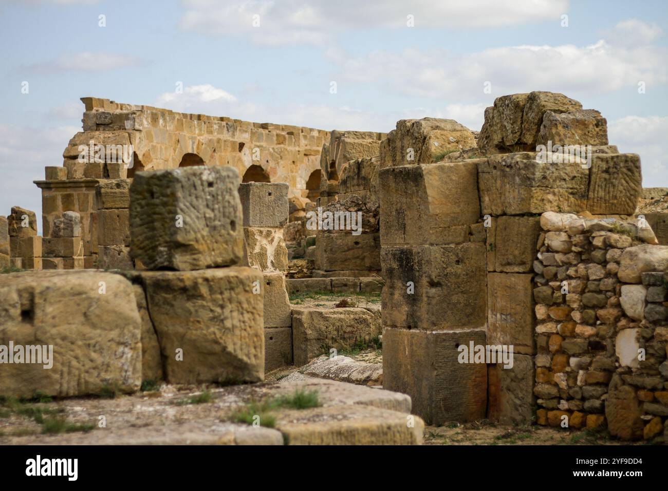 Oudhna, Ben Arous Governorate, Tunisia. 2nd Nov, 2024. Oudhna, Tunisia ...