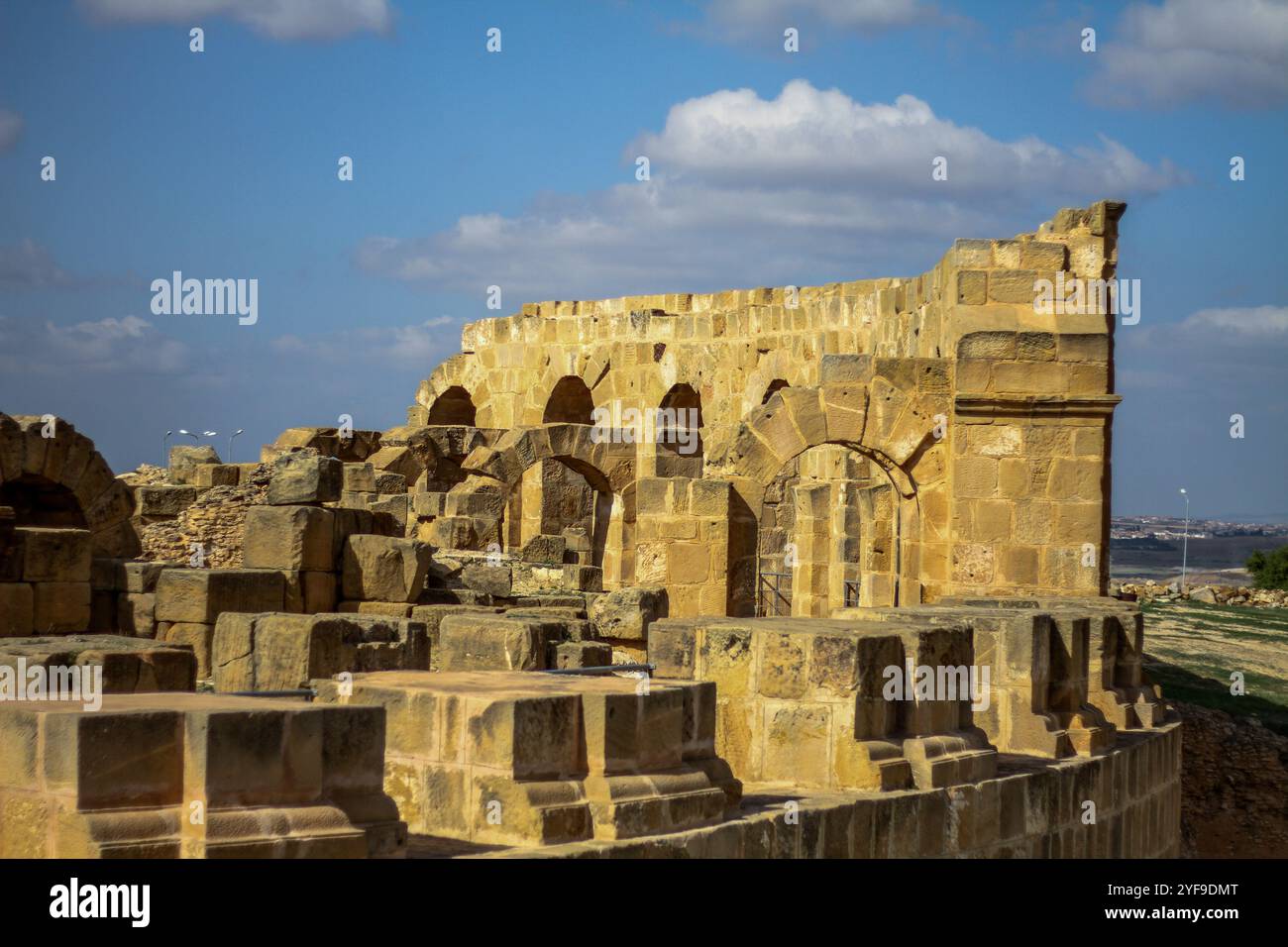 Oudhna, Ben Arous Governorate, Tunisia. 2nd Nov, 2024. Oudhna, Tunisia ...