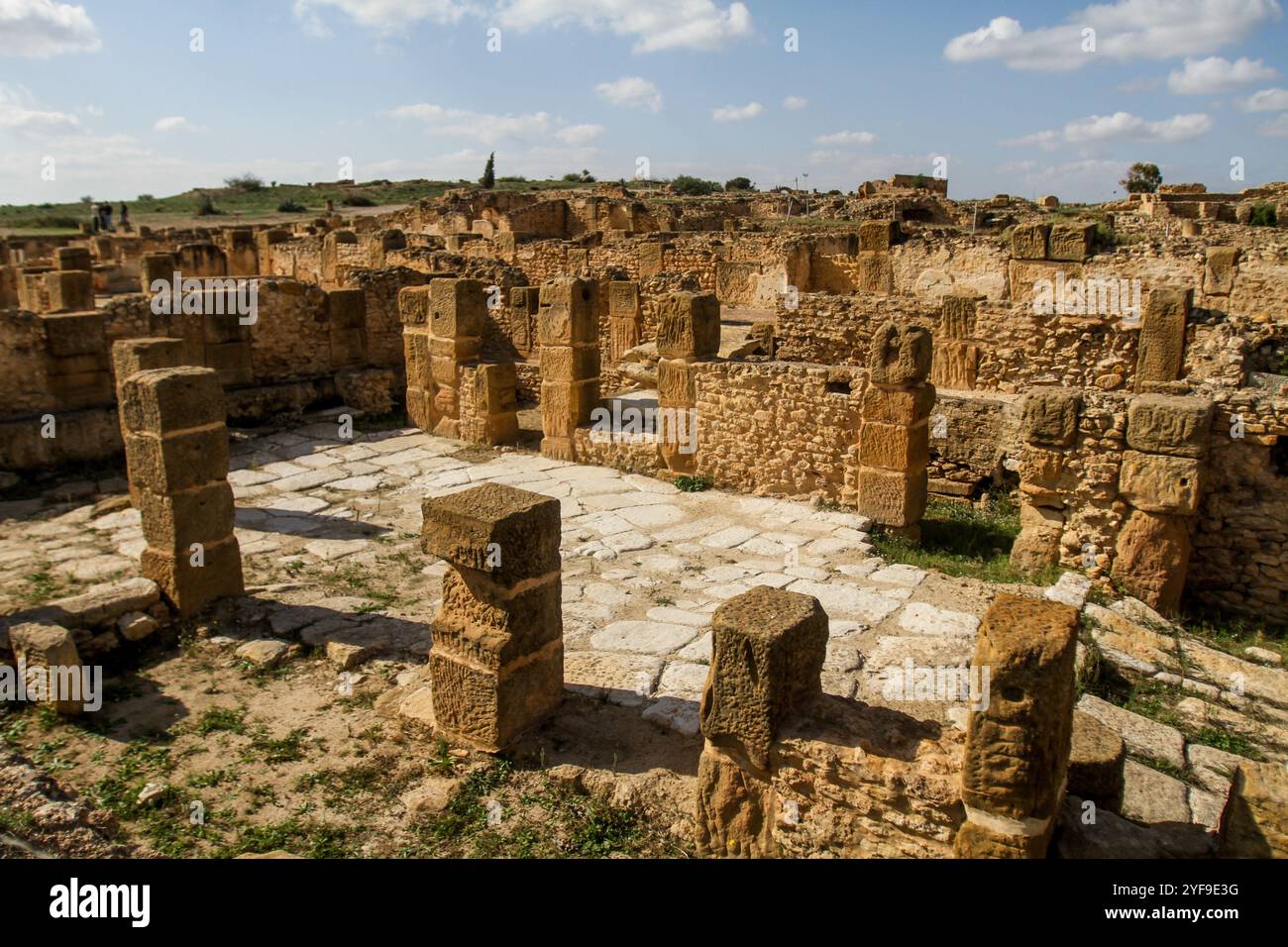 Oudhna, Ben Arous Governorate, Tunisia. 2nd Nov, 2024. Oudhna, Tunisia ...