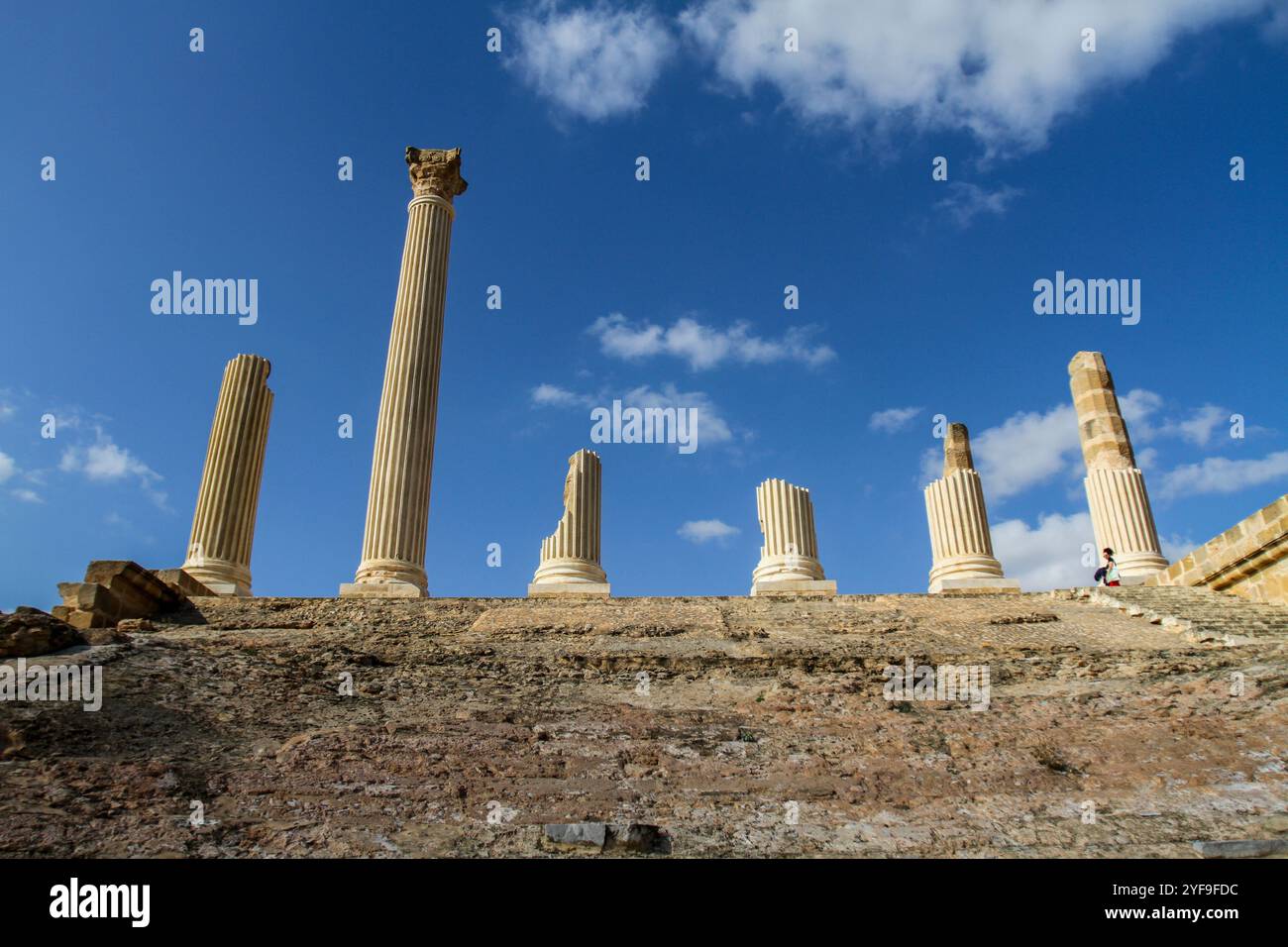 Oudhna, Ben Arous Governorate, Tunisia. 2nd Nov, 2024. Oudhna, Tunisia ...