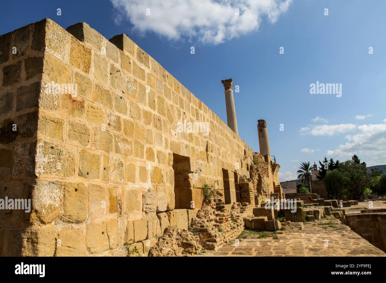 Oudhna, Ben Arous Governorate, Tunisia. 2nd Nov, 2024. Oudhna, Tunisia ...