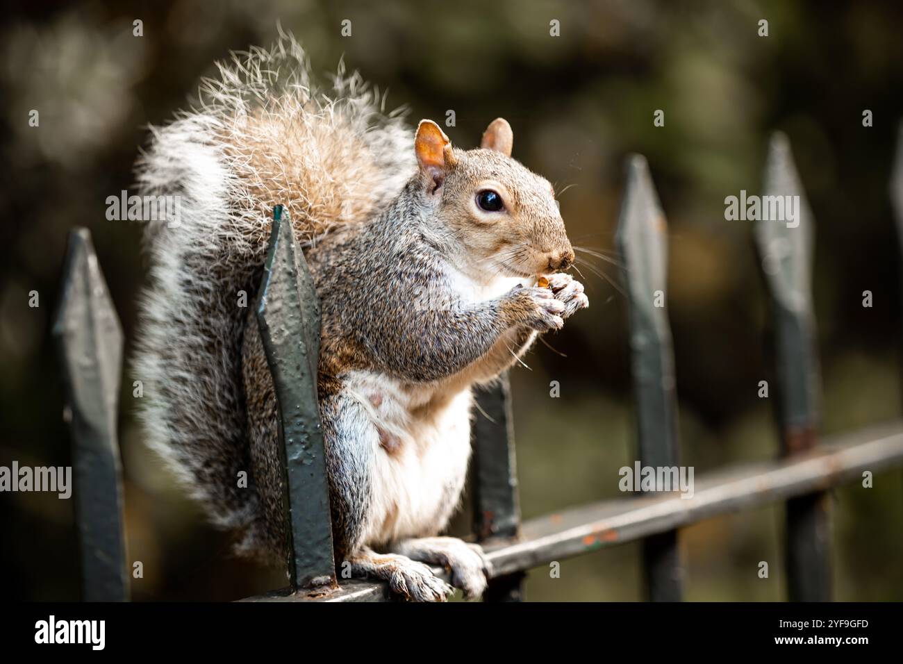 Curious posture hi-res stock photography and images - Alamy