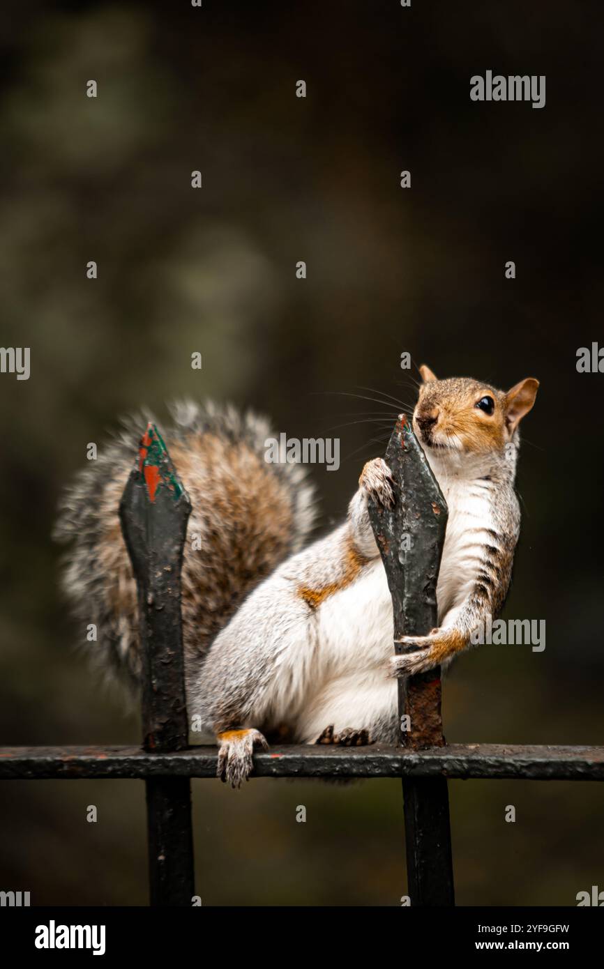 Curious posture hi-res stock photography and images - Alamy