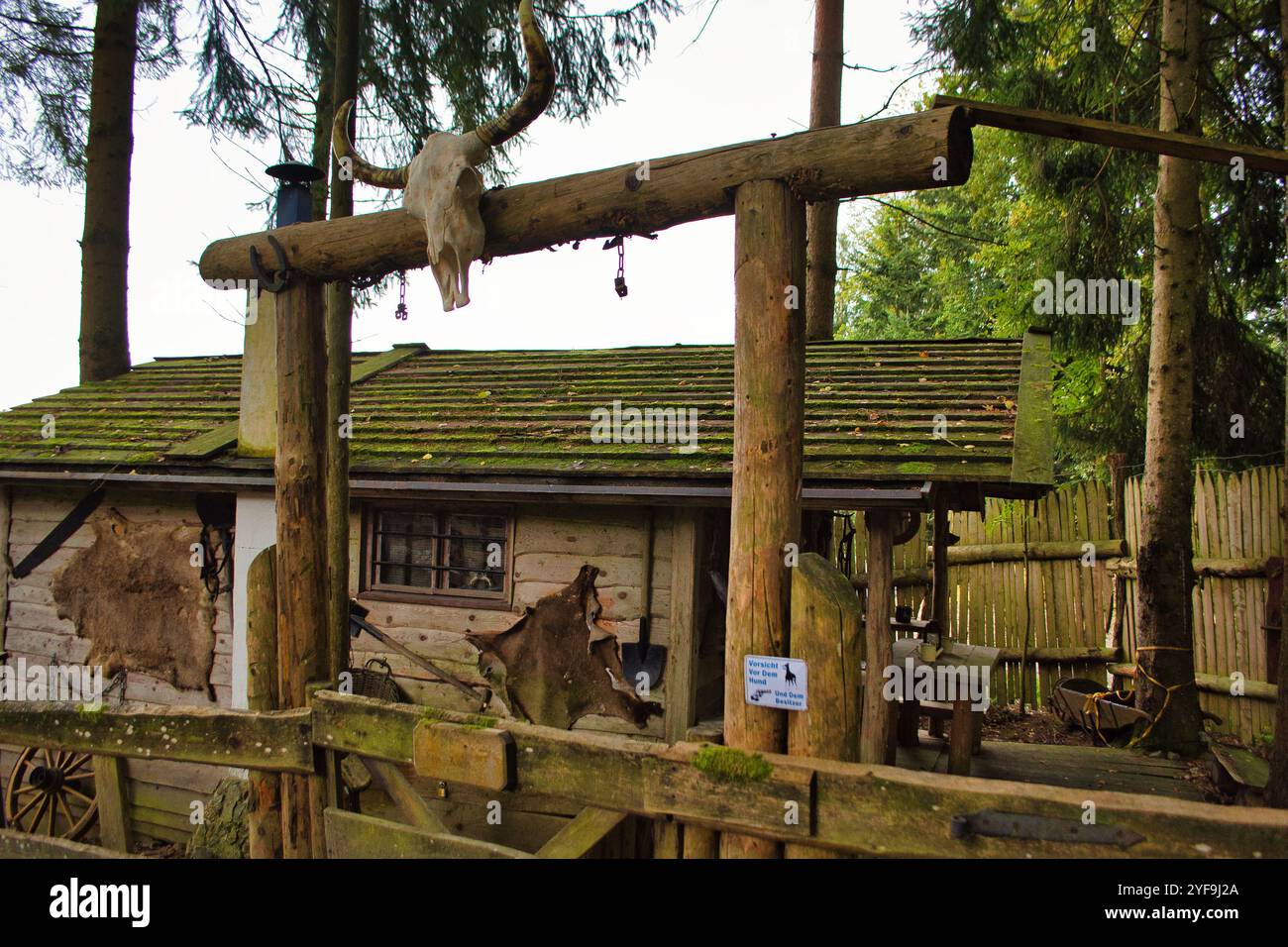 A beautiful little house with moss roof. The green surroundings add to ...