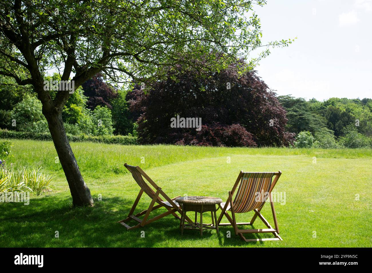 Chairs under tree hi-res stock photography and images - Alamy