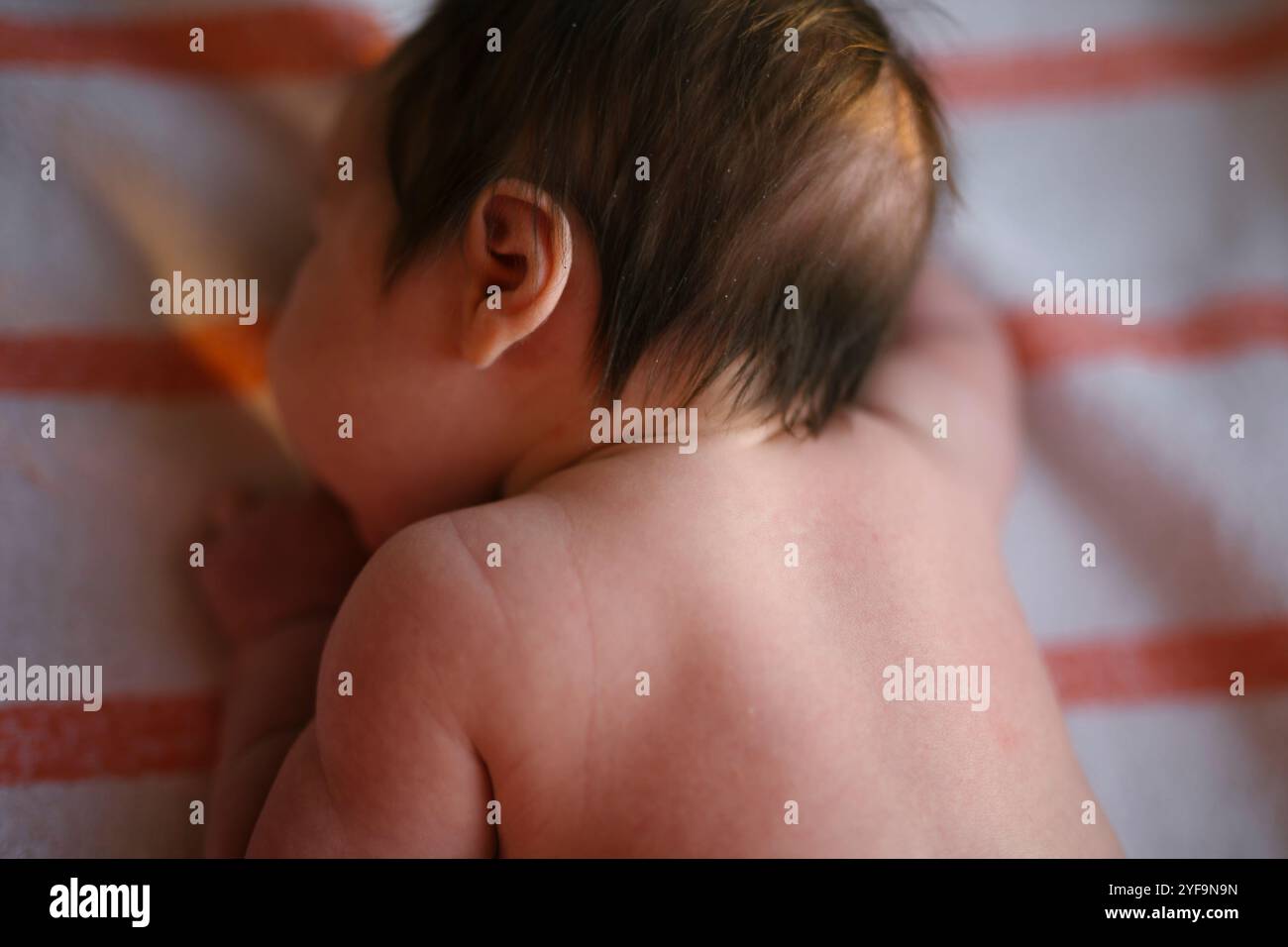 Rear view of shirtless newborn baby lying on front Stock Photo - Alamy