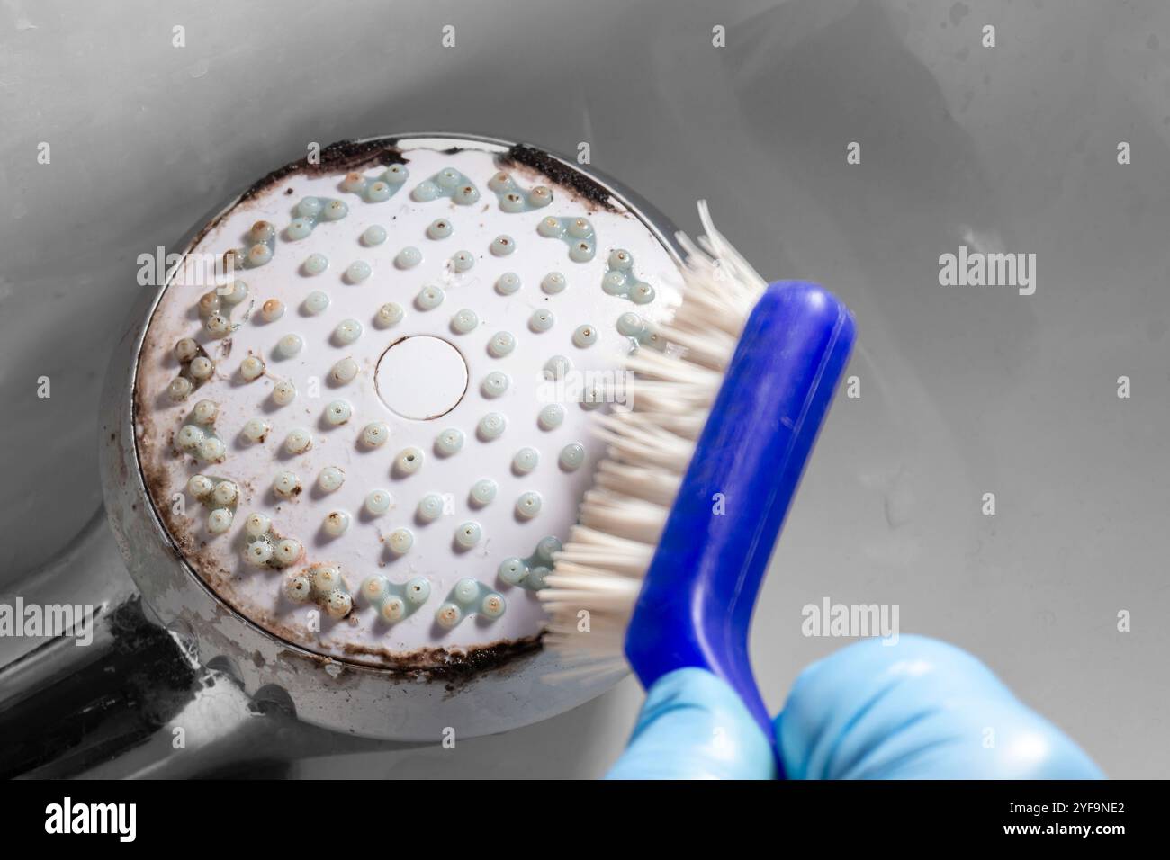 Cleaning shower head with scrubbing brush. Scrubbing lime scale and ...