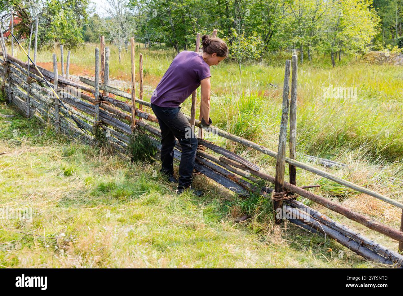Middle aged woman repairing fence at back yard Stock Photo - Alamy