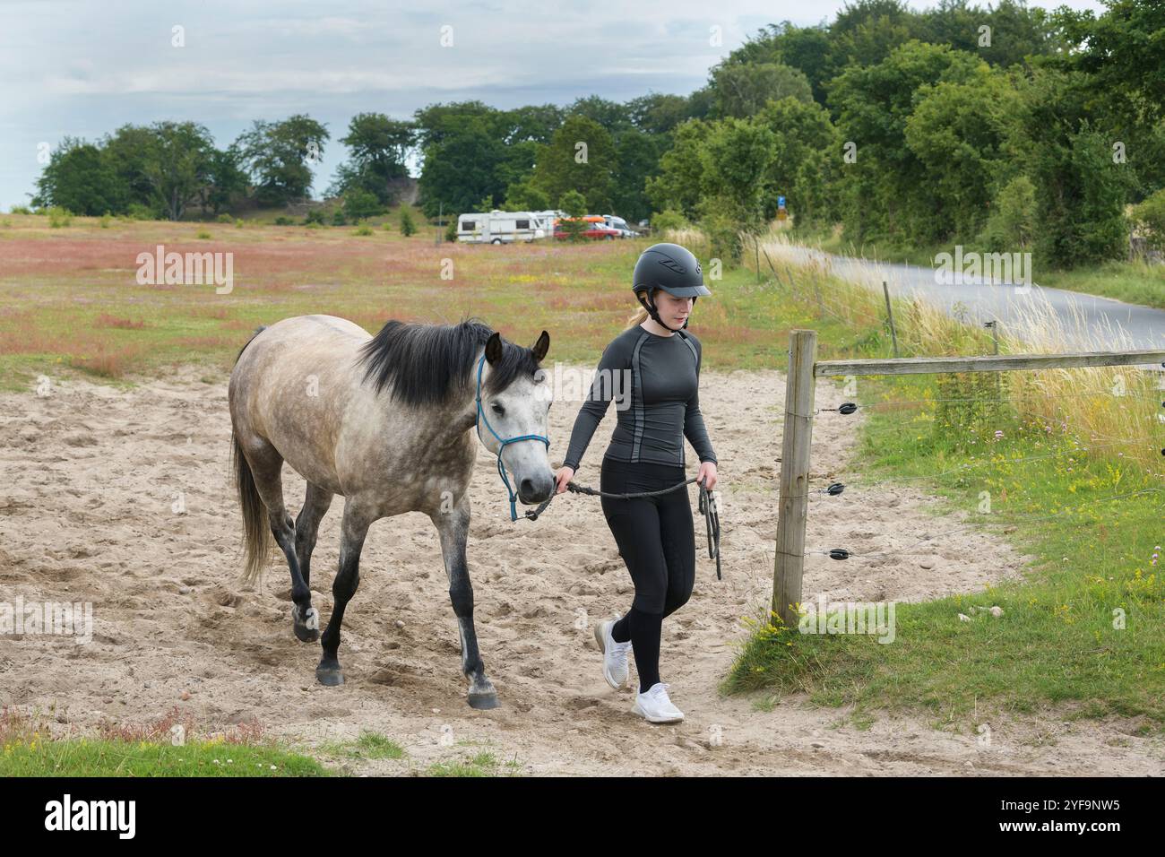 Young woman wearing equestrian helmet walking with horse at paddock ...