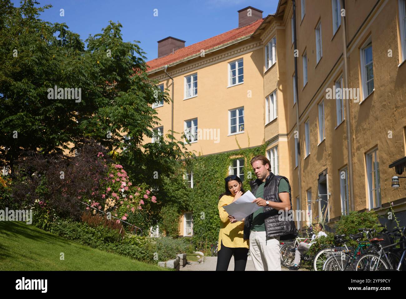 Male female coworker analyze work hi-res stock photography and images ...
