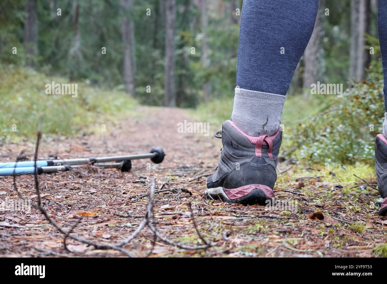 of a person walking along a forest path with trekking poles Stock Photo ...