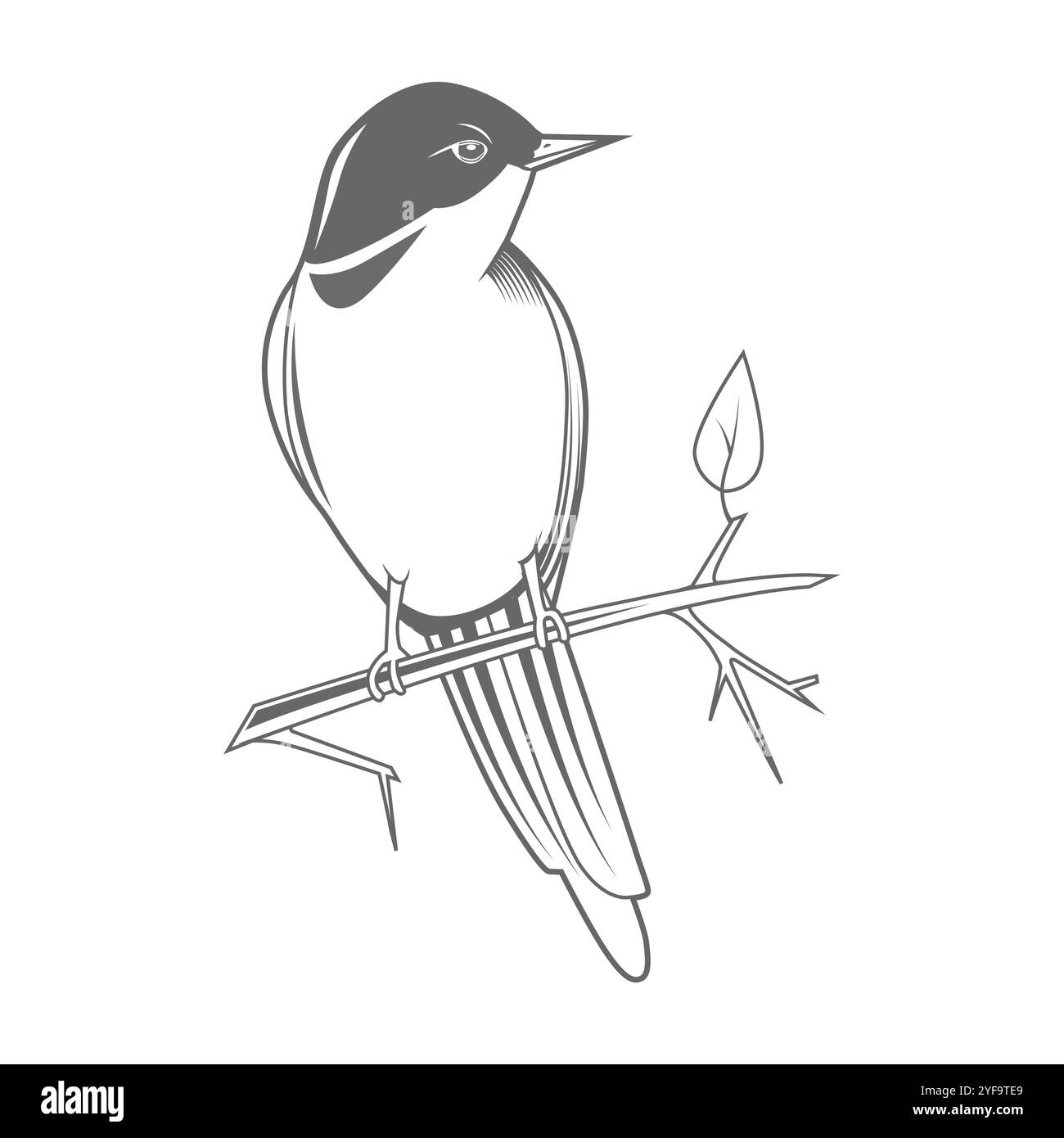 Nightingale flying Cut Out Stock Images & Pictures - Alamy