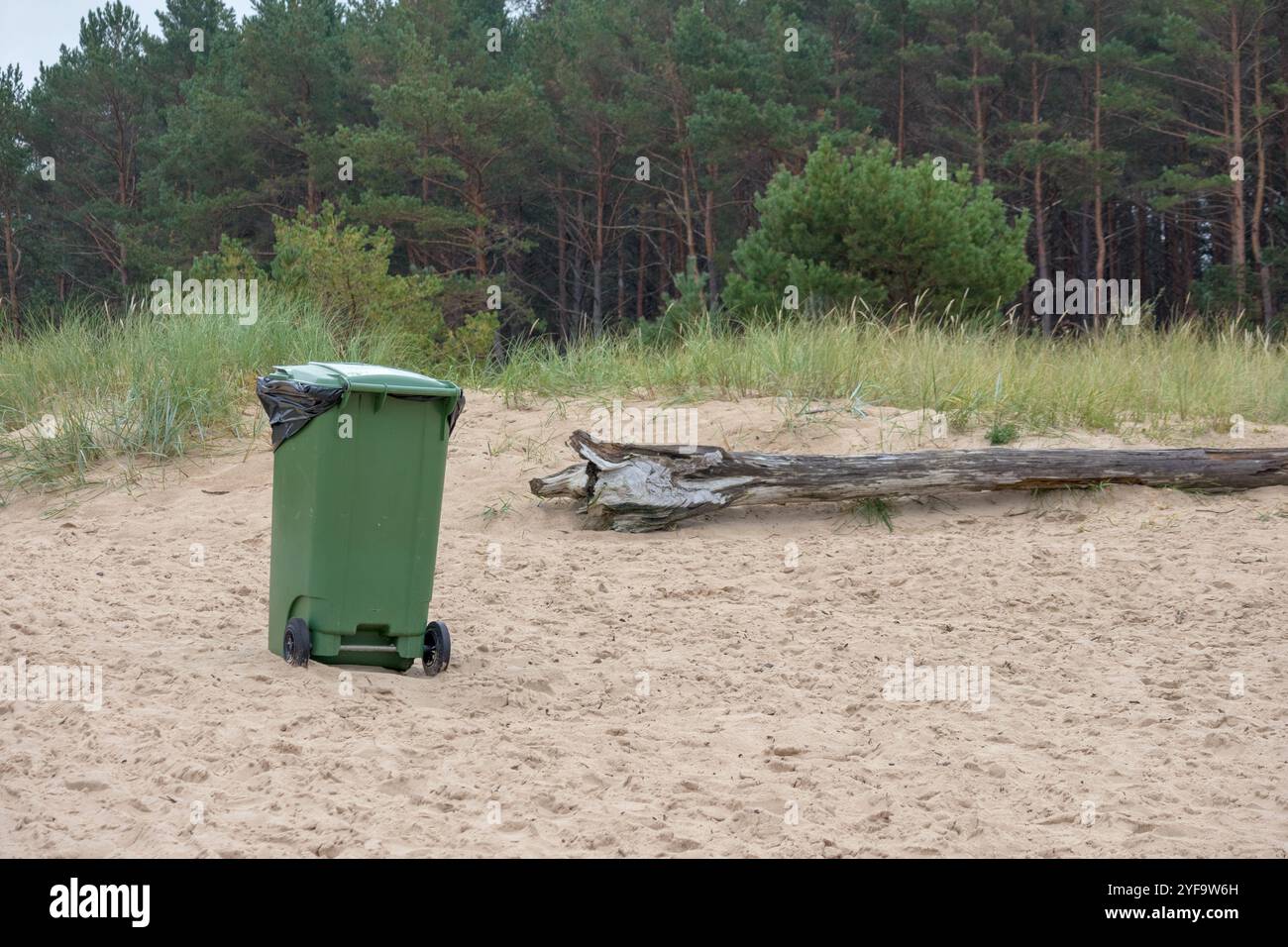 green garbage can in the sand of the sea beach Stock Photo - Alamy