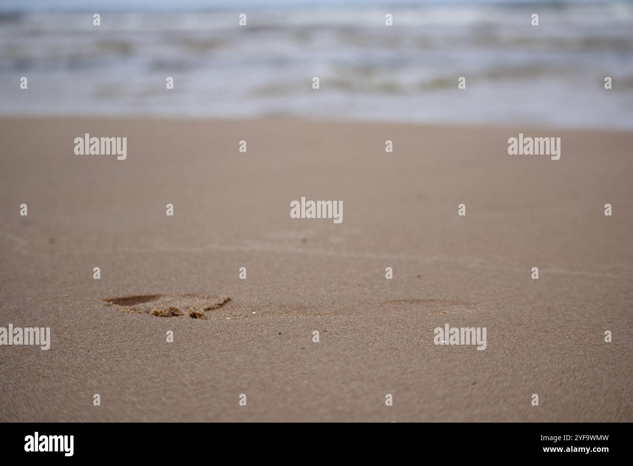 Human footprints dog paw hi-res stock photography and images - Alamy