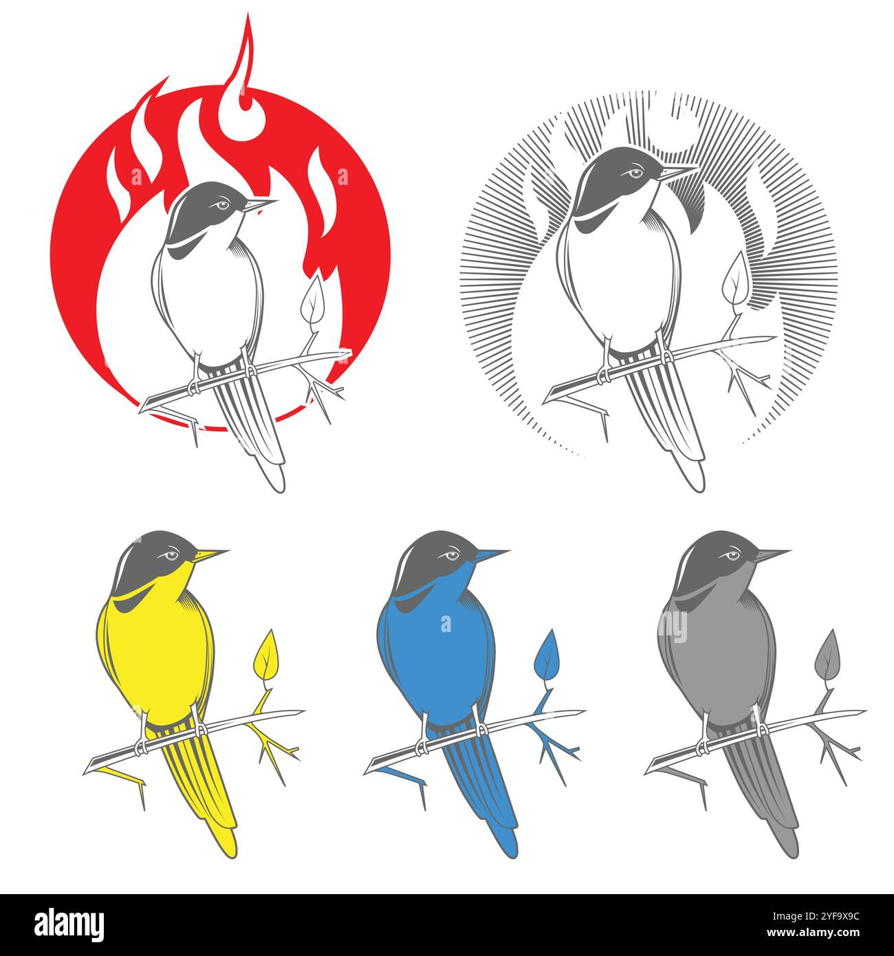 The yellow nightingale hi-res stock photography and images - Alamy