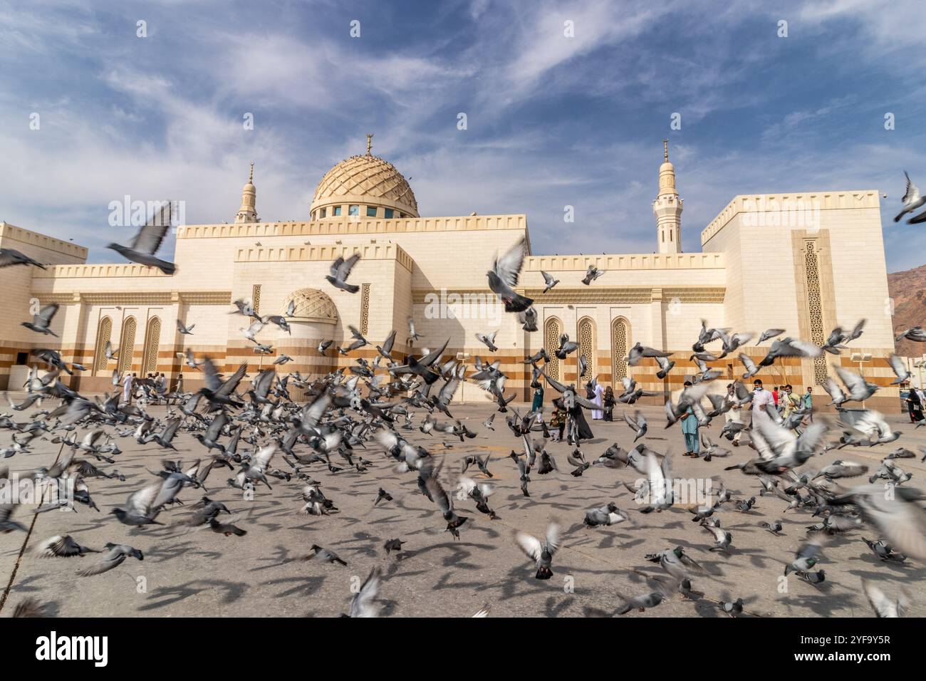 MEDINA, SAUDI ARABIA - NOVEMBER 12, 2021: Pigeons in front of the ...