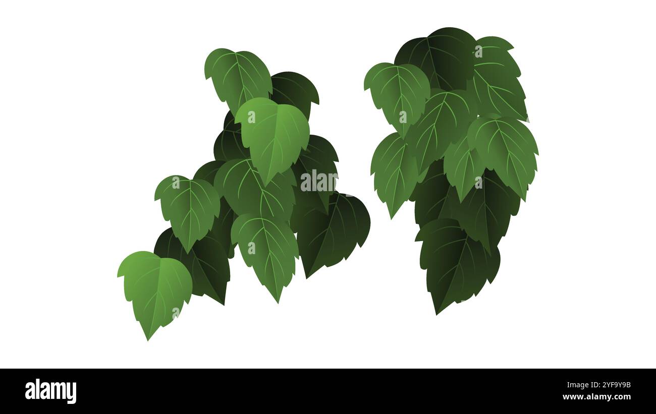 Joba (hibiscus) flower, leaves tree with vector design, Hibiscus Flower ...