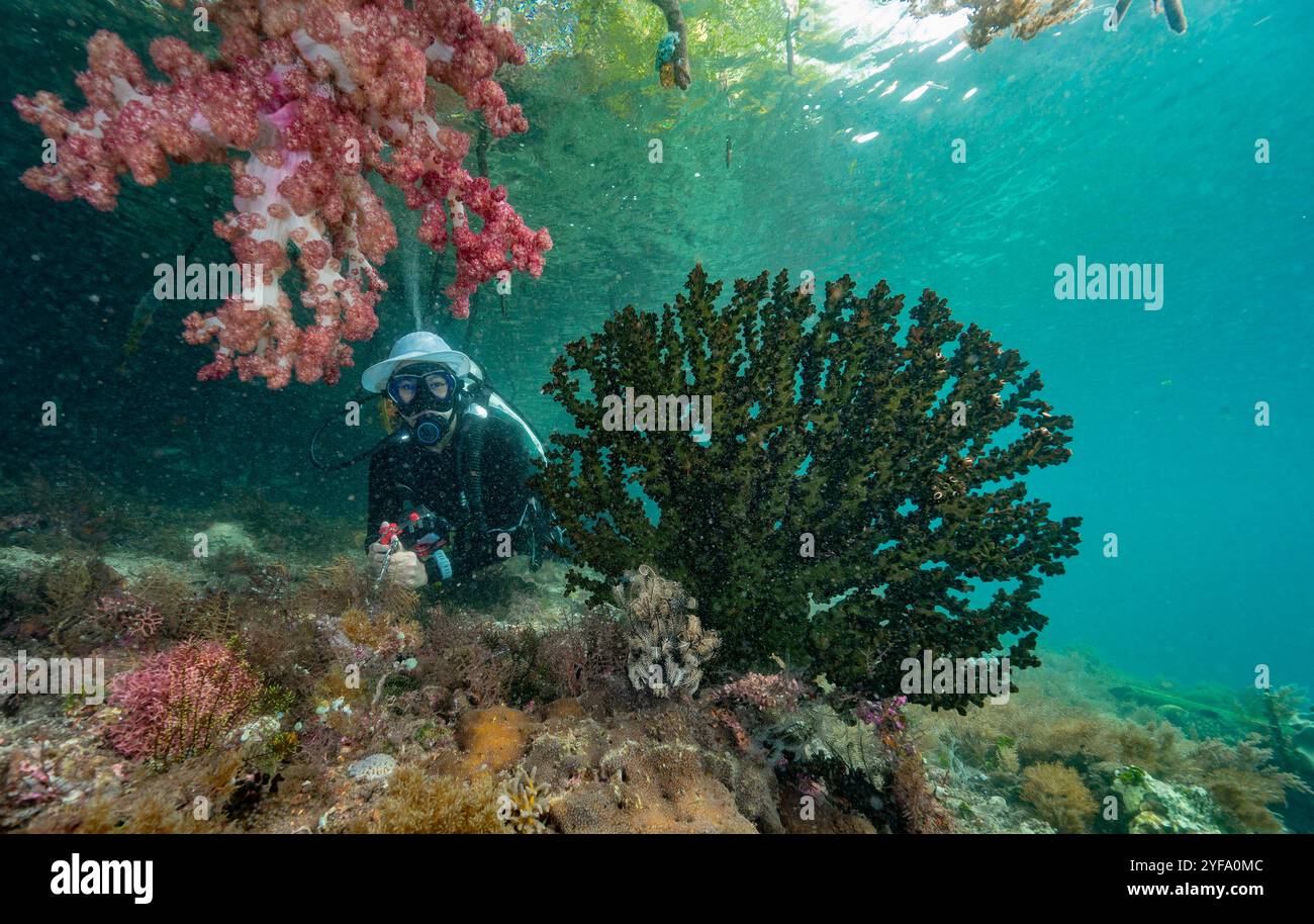 exploring the mangrove forest in Raja Ampat Stock Photo - Alamy