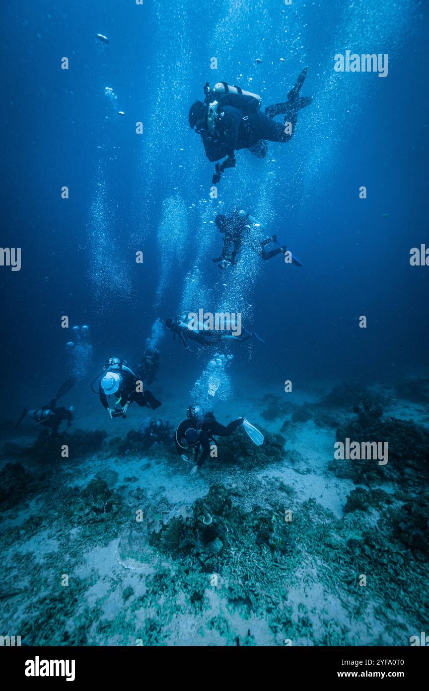 Scuba divers descending hi-res stock photography and images - Alamy